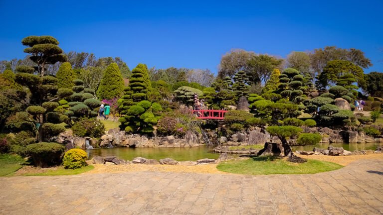 Feriados prolongados: Parque Maeda é opção para aproveitar os dias de ...